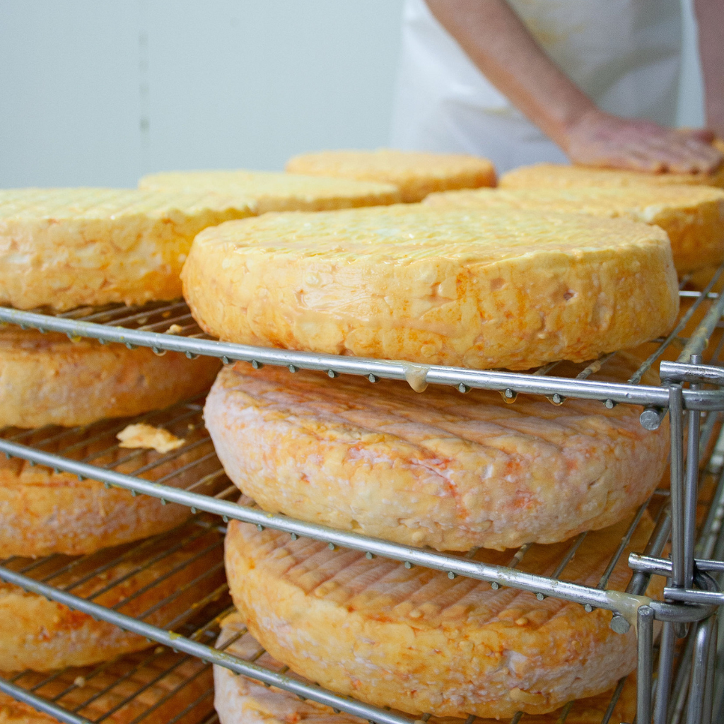 Shadows of Red – Tarago Cheese