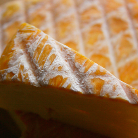 Shadows of Red – Tarago Cheese